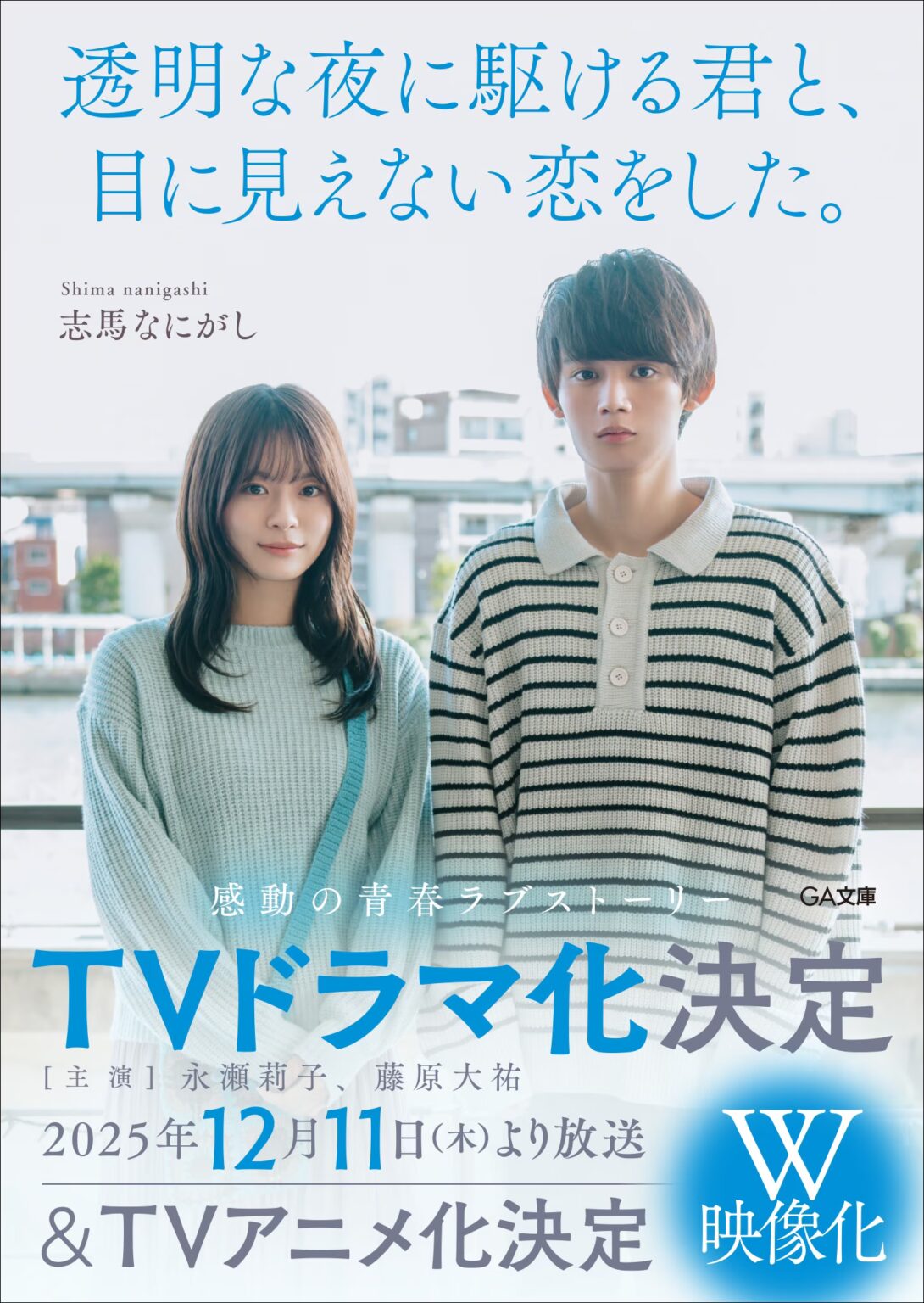 “Toumei na Yoru ni Kakeru Kimi to, Me ni Mienai Koi wo Shita” Novel ...